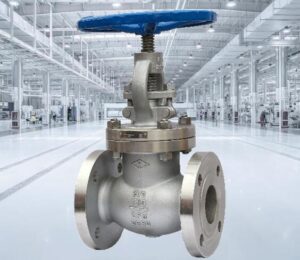 Protect Your Equipment with our High-Quality Check Valves